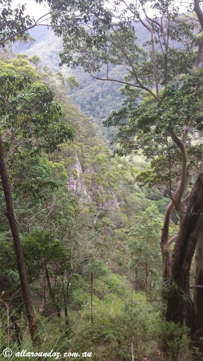 A Day Trip To Beautiful Binna Burra, Queensland | All Around Oz