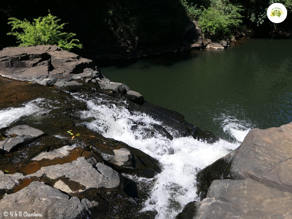 Top 5 Best Things To Do In Maleny Qld For Day Trips | All Around Oz