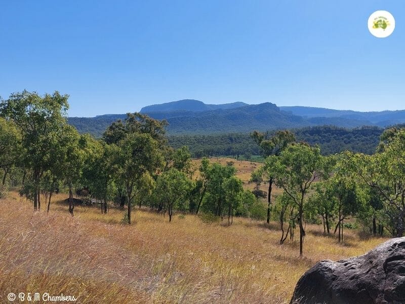 Sandstone Park, Carnarvon Gorge - REVIEW | All Around Oz