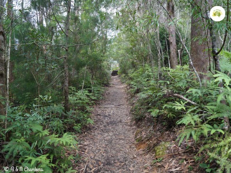 7 Tips For Bush Walking Safety | All Around Oz