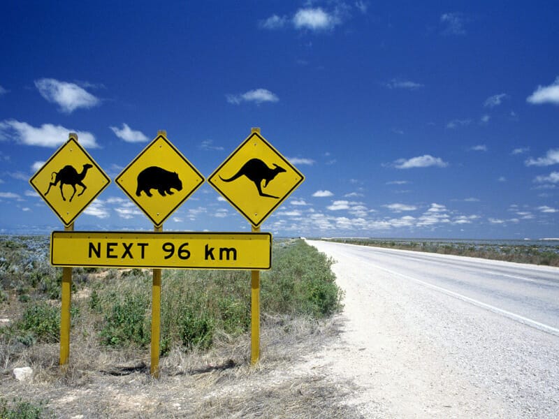 Driving Around Australia: Planning The Perfect Big Lap Of Australia ...