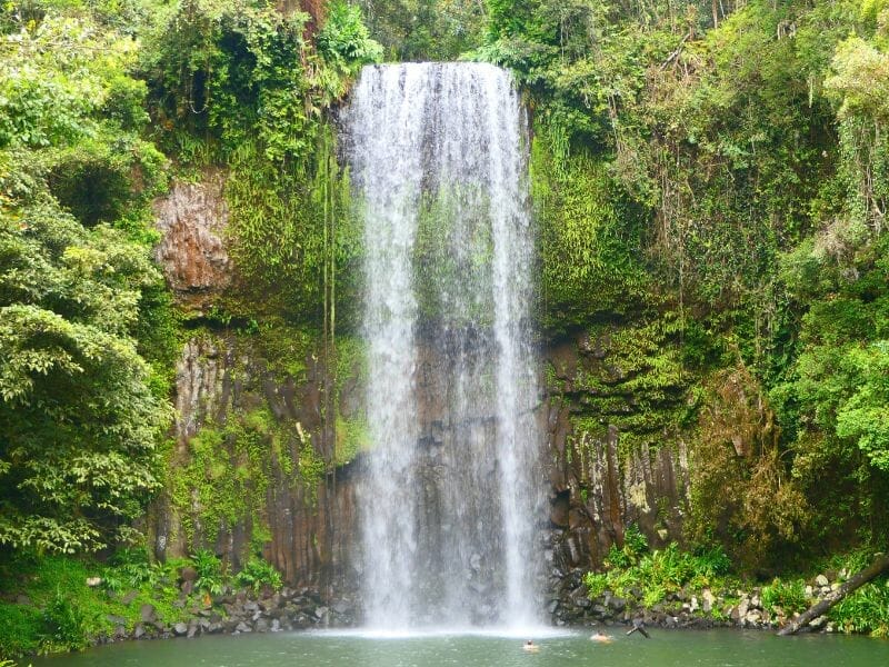 Exploring Beautiful Atherton Tableland: Atherton Tablelands Waterfalls ...
