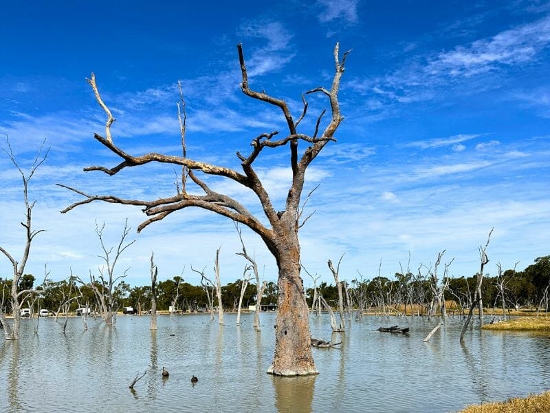 The Rustic Charm Of Lara Wetlands: Queensland's Hidden Oasis | All ...